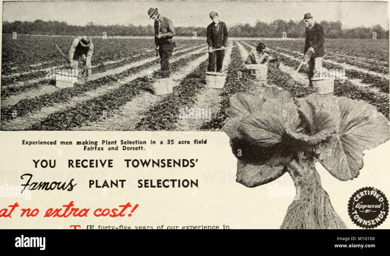The 1946 catalog of fruits lists a variety of fruit species and their ...