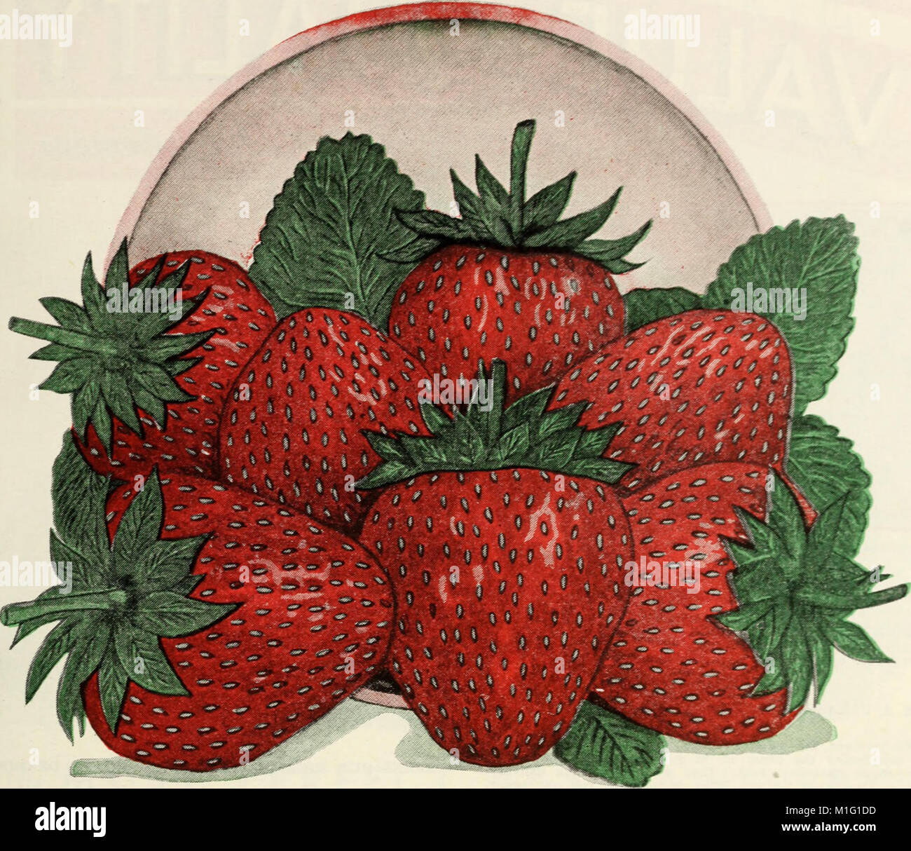 The 1946 catalog of fruits provides a comprehensive list of available ...