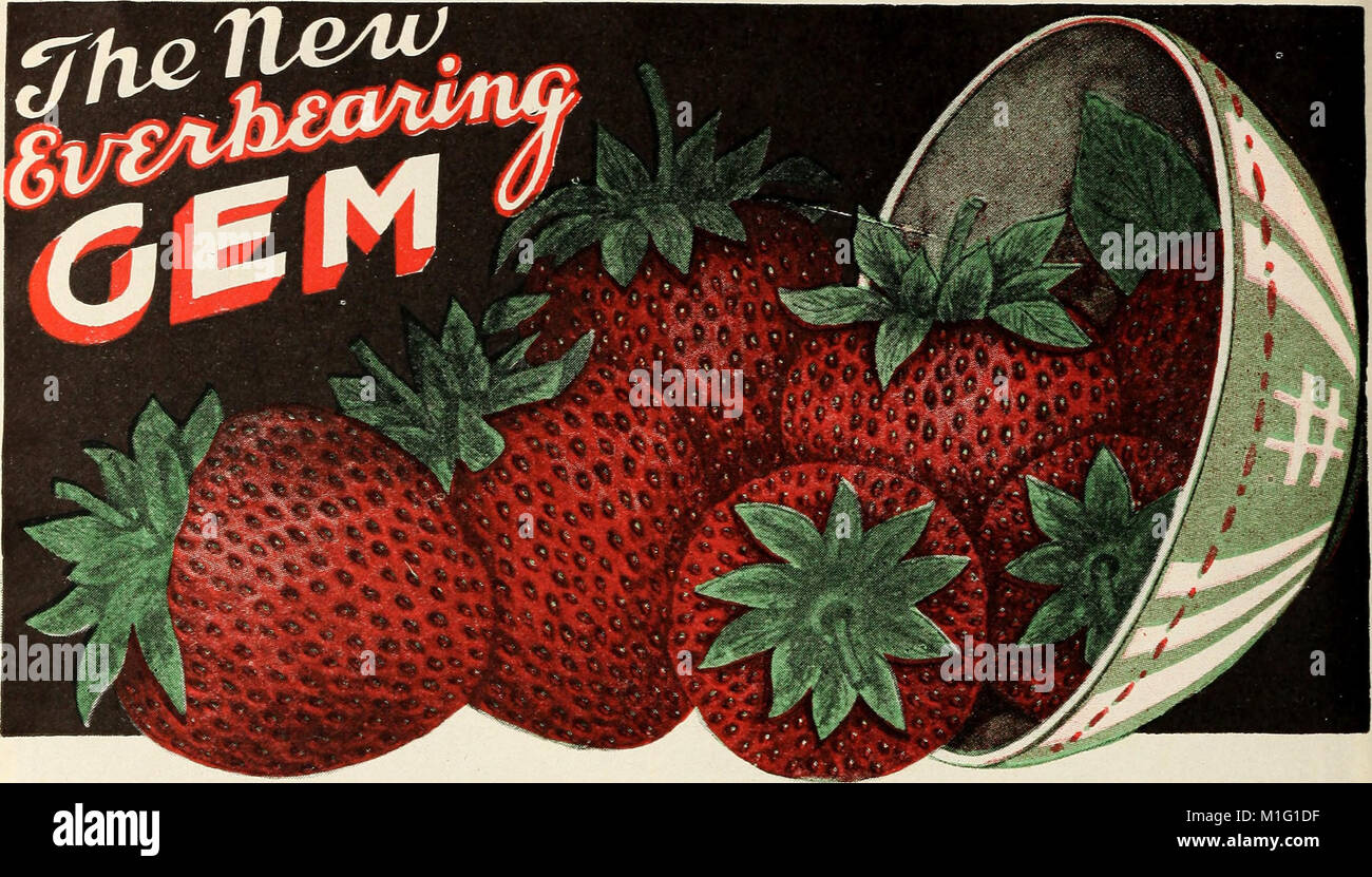 The 1946 catalog of fruits provides information on various fruit ...