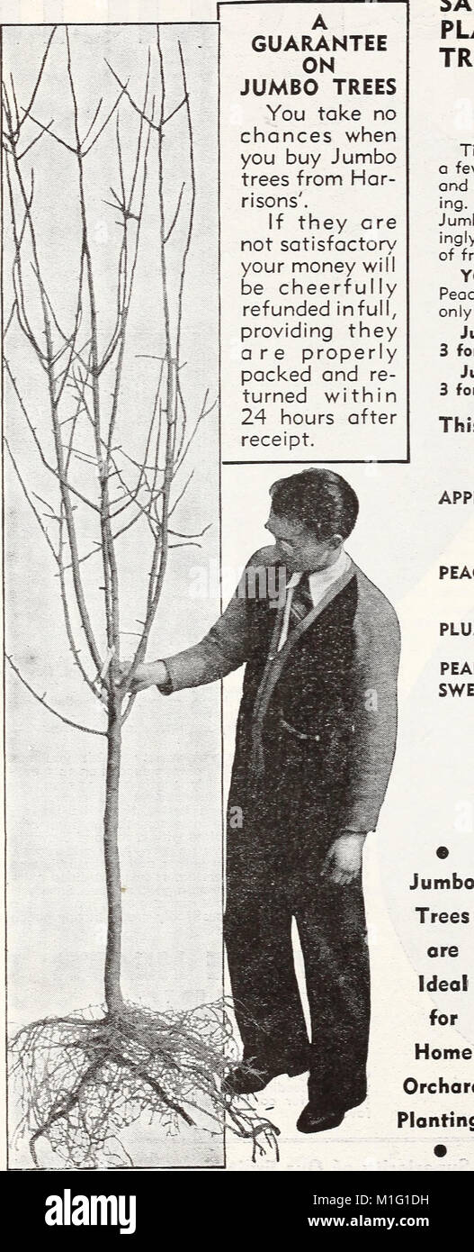 1940 Planter's guide (1940) (16483128480 Stock Photo - Alamy