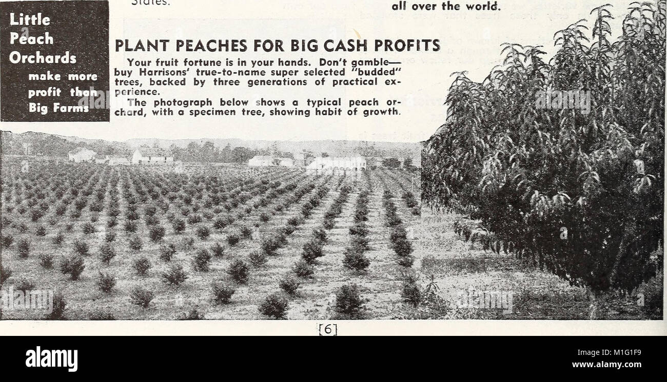 1940 Planter's guide (1940) (16048208744 Stock Photo - Alamy