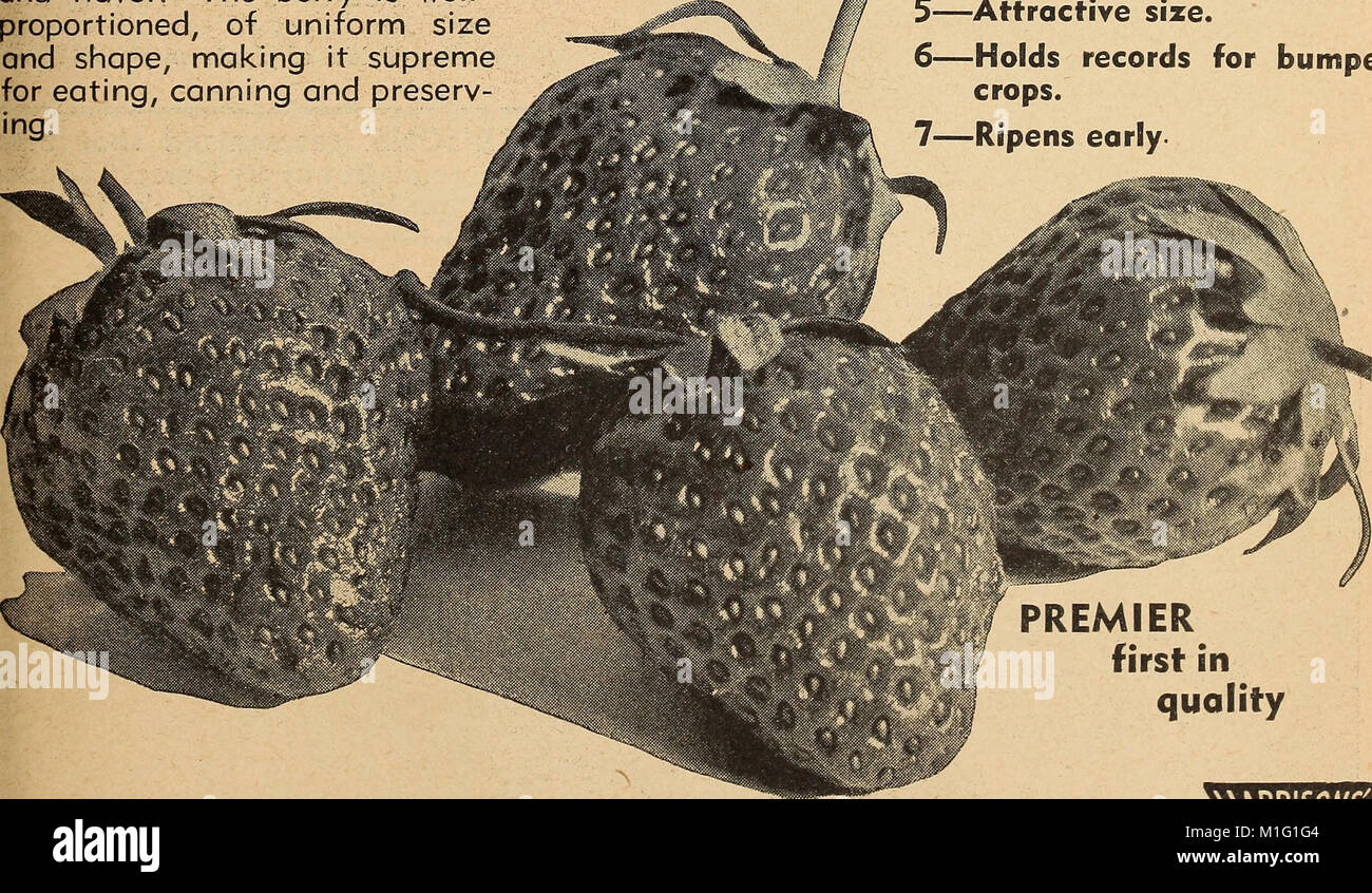 The '1938 Planters Guide' provides practical advice for gardeners and ...