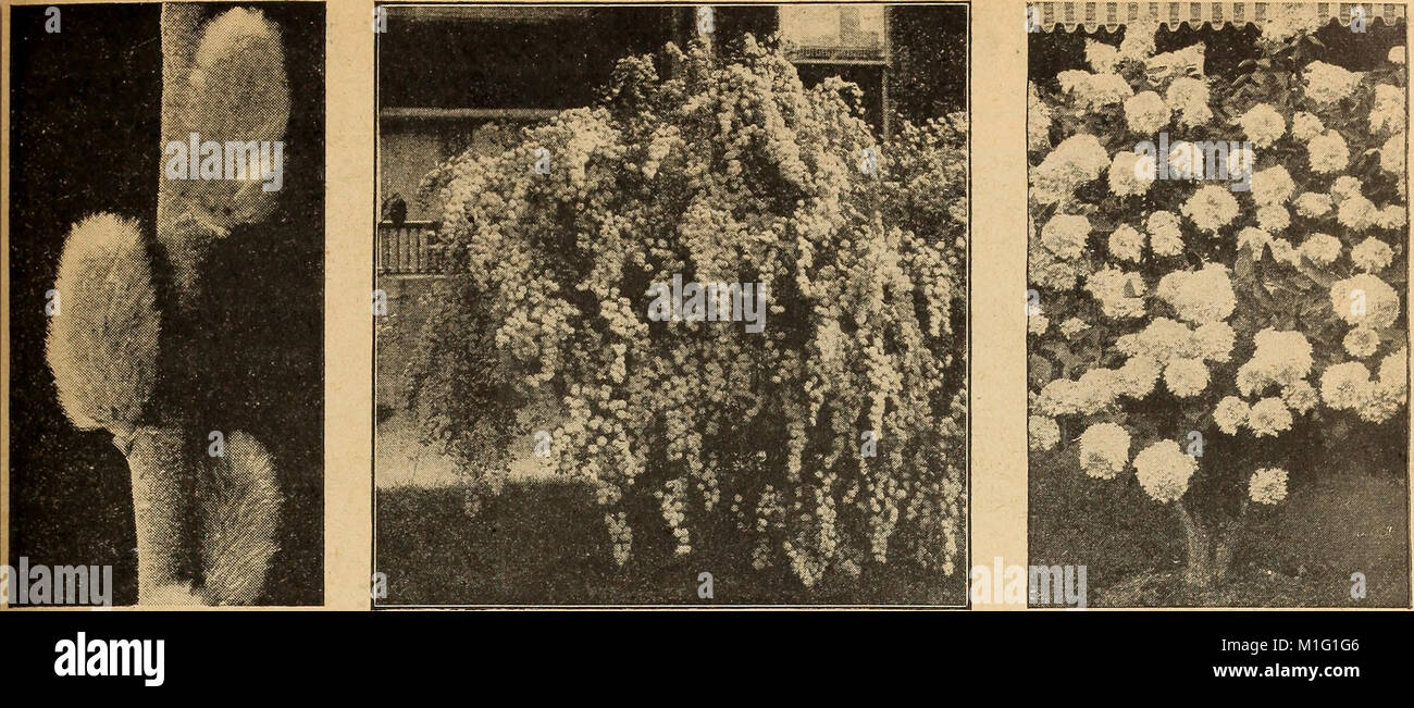 The 1938 Planters Guide is a resource for gardeners and horticulturists ...