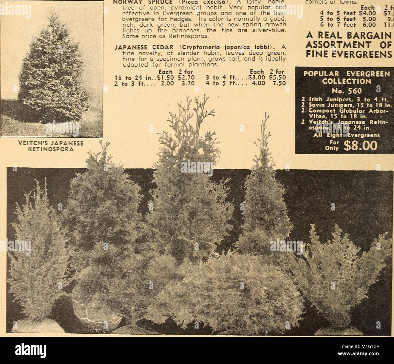 The 1938 Planters Guide offers practical advice for farmers and ...