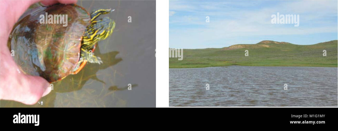 This biological assessment report evaluates various sites within the ...