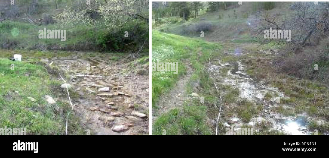 An integrative biological assessment of sites in the Custer National ...