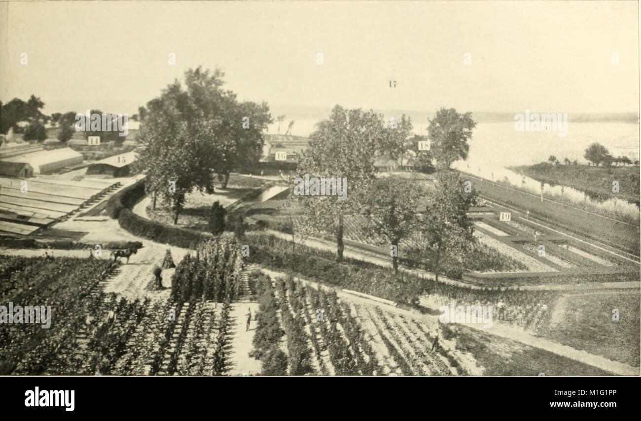 This publication celebrates the 60th anniversary of an institution or ...