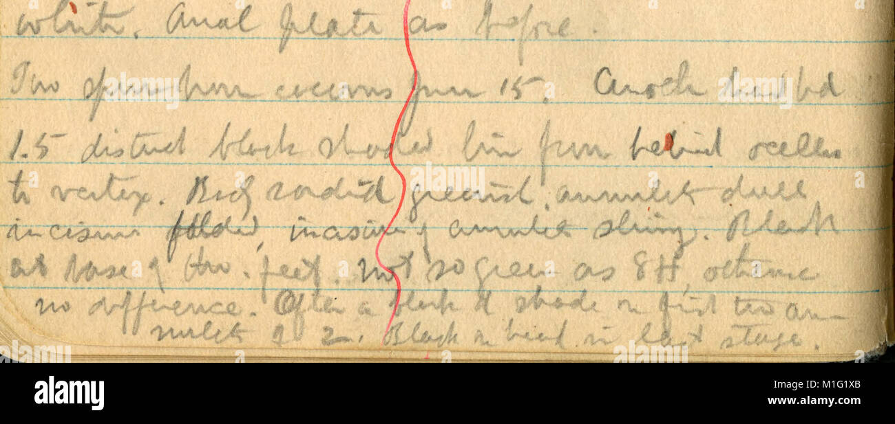 '5L - 8Q' (1895-1897) is a historical reference or collection related ...