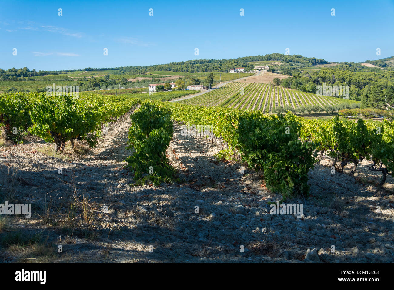Rhone valley wine hi-res stock photography and images - Alamy