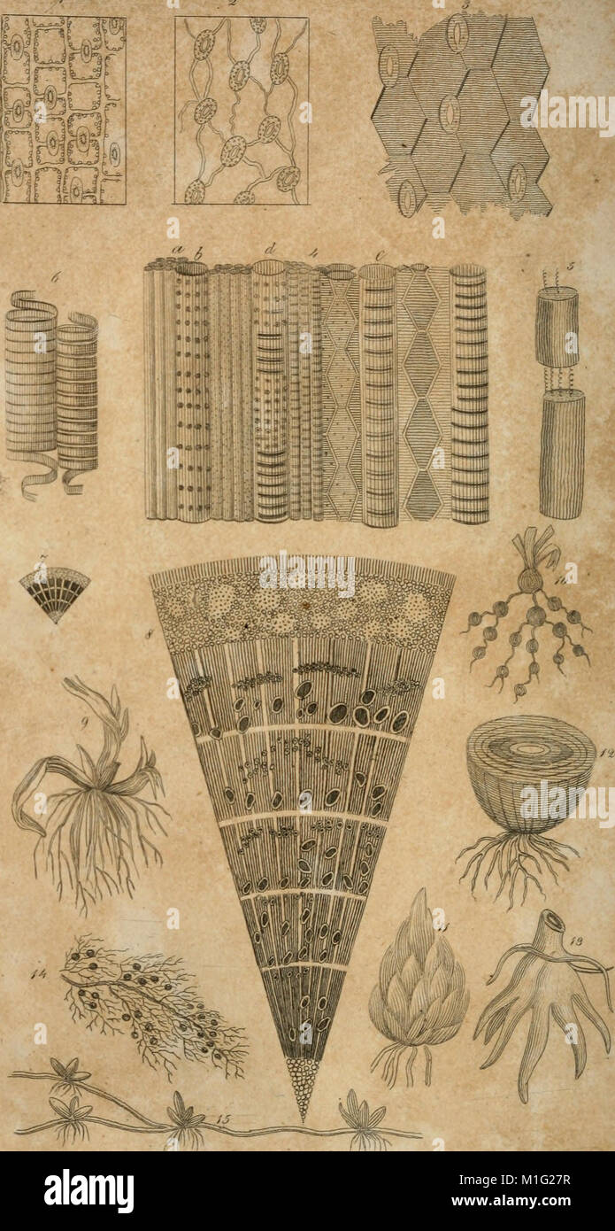 This 1820 compendium provides an overview of physiological and ...