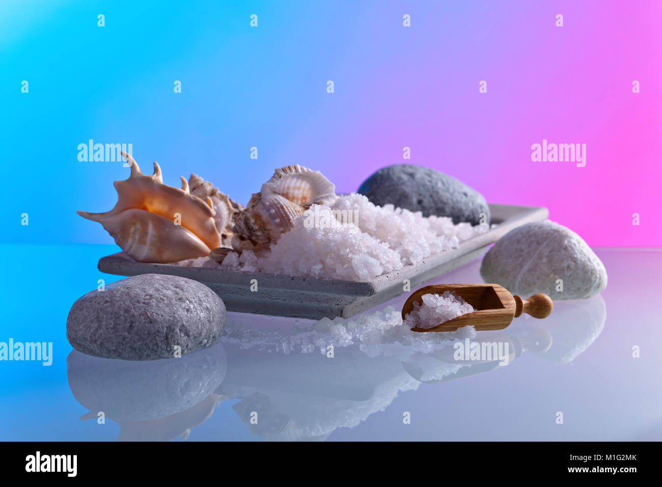 Spa composition with shells and toning sea salt crystals. Copy space ...