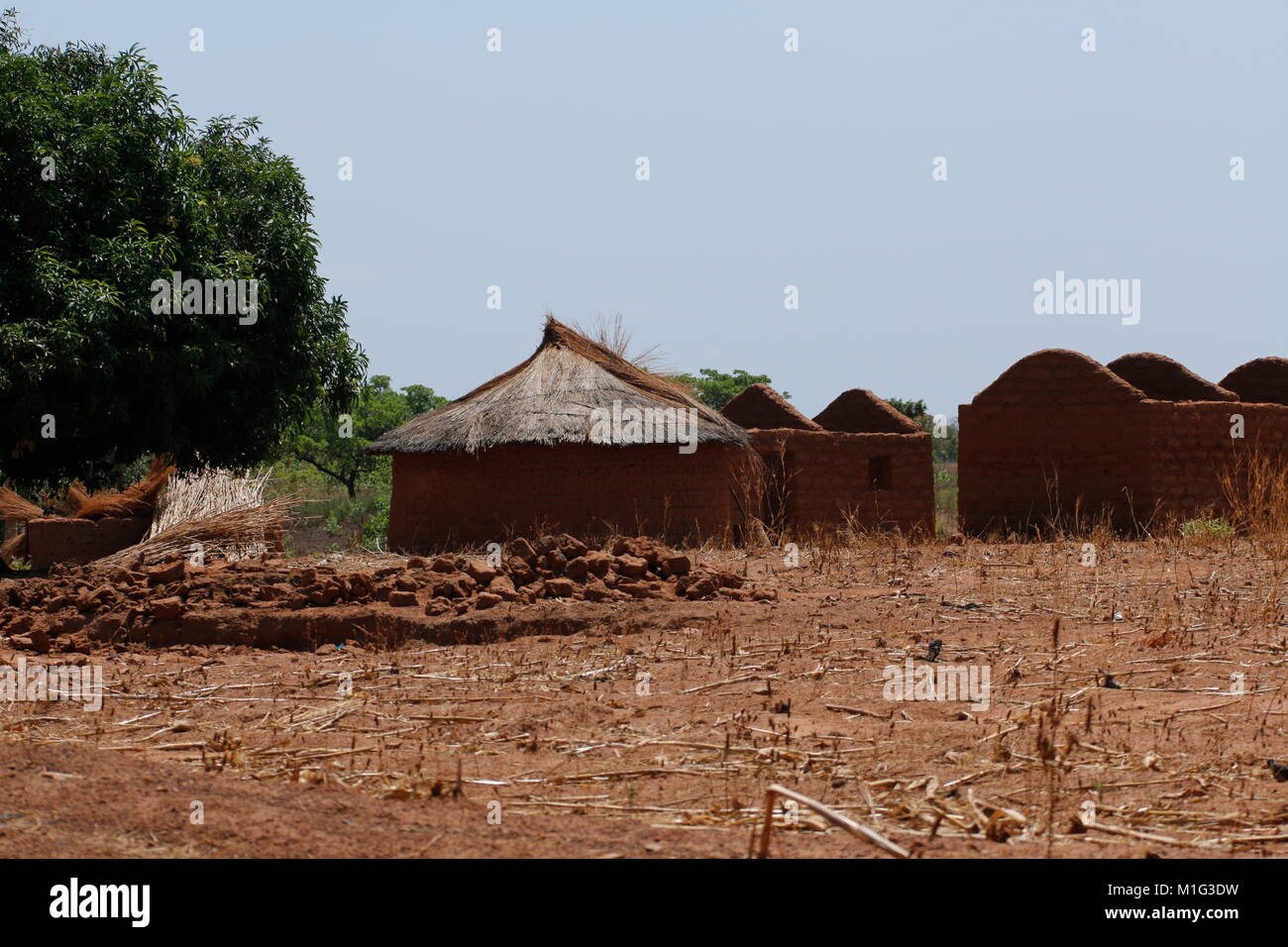 Benin west africa in forest hi-res stock photography and images - Alamy