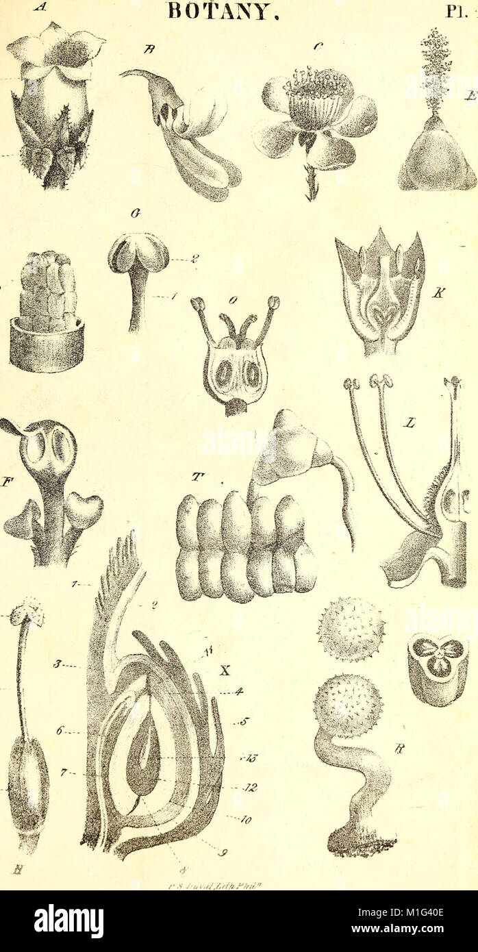 A 1839 work providing a broad overview of natural history, covering ...