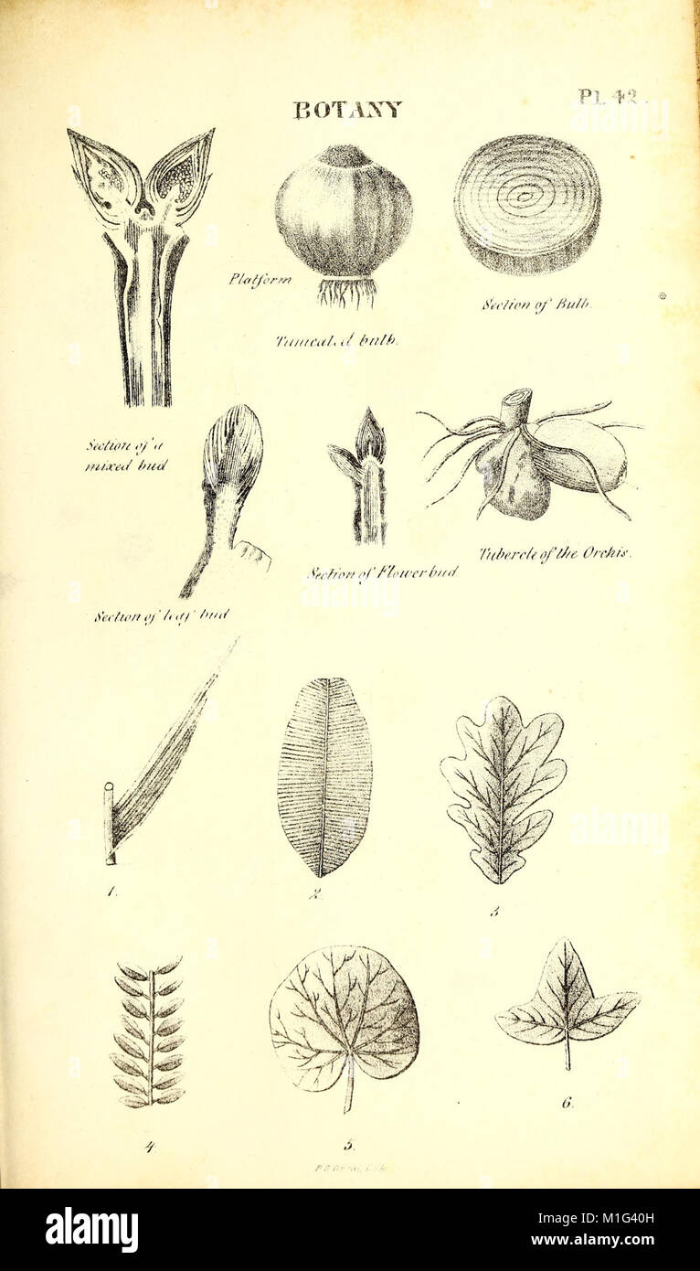 This 1839 work provides a comprehensive overview of natural history ...