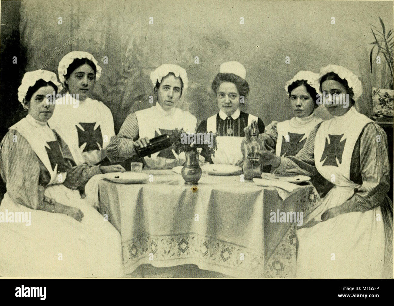 This 1912 work traces the development of nursing systems from early ...