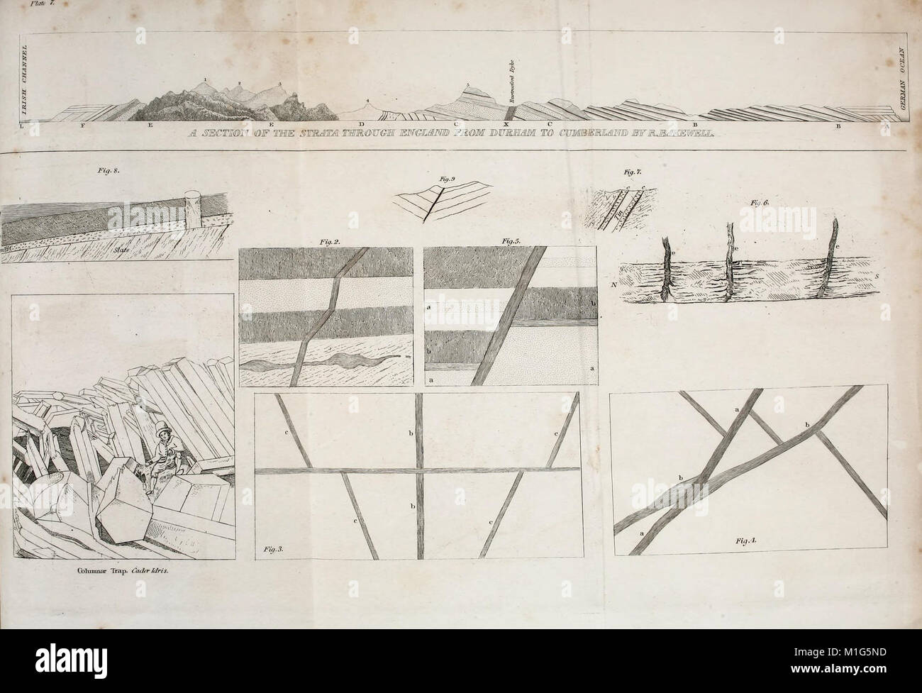 'An Introduction to Geology' offers a practical understanding of ...