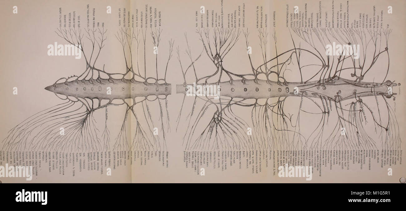 This 1922 atlas provides a comprehensive guide to the differential ...