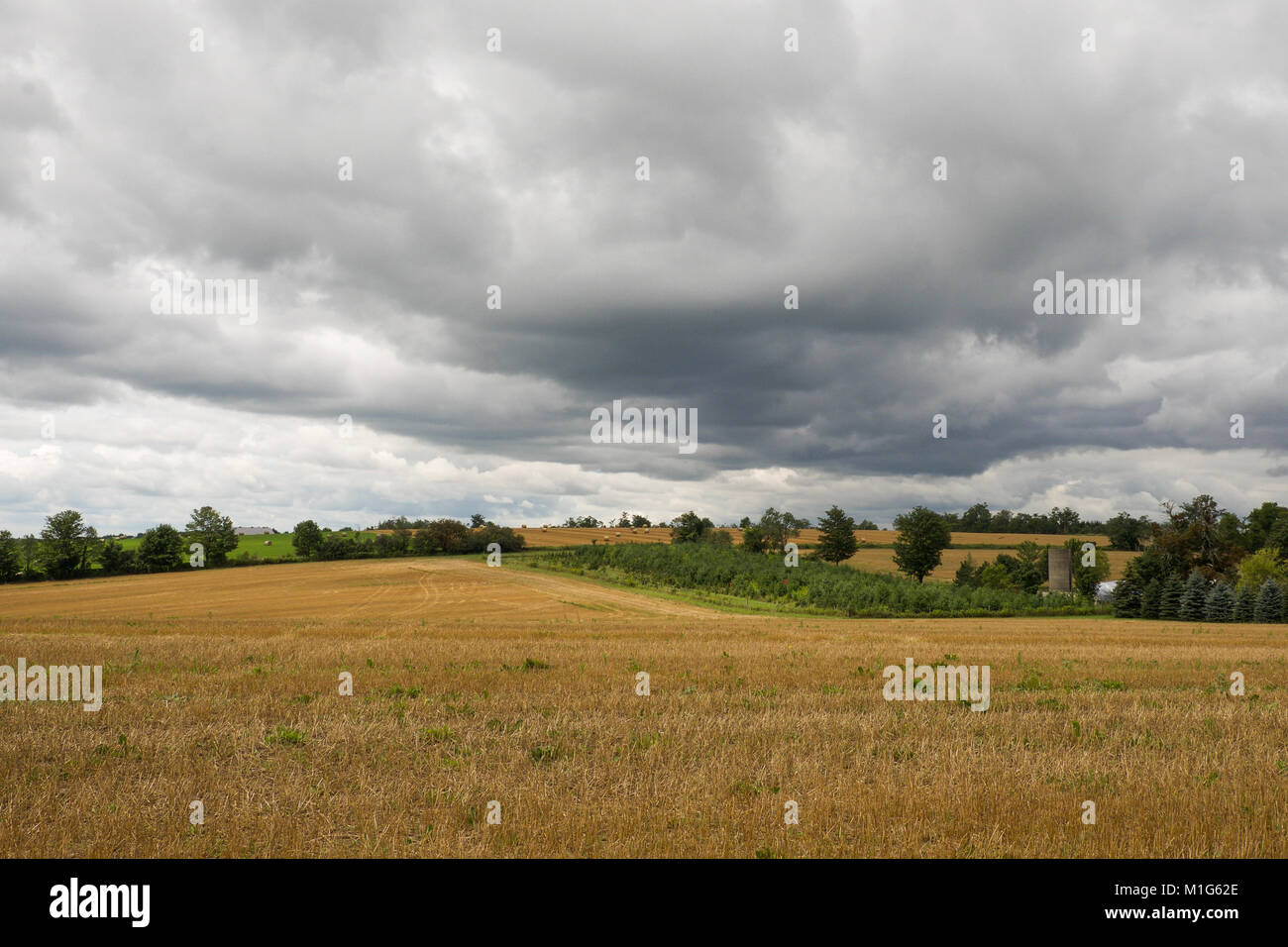 a vast landscape Stock Photo - Alamy