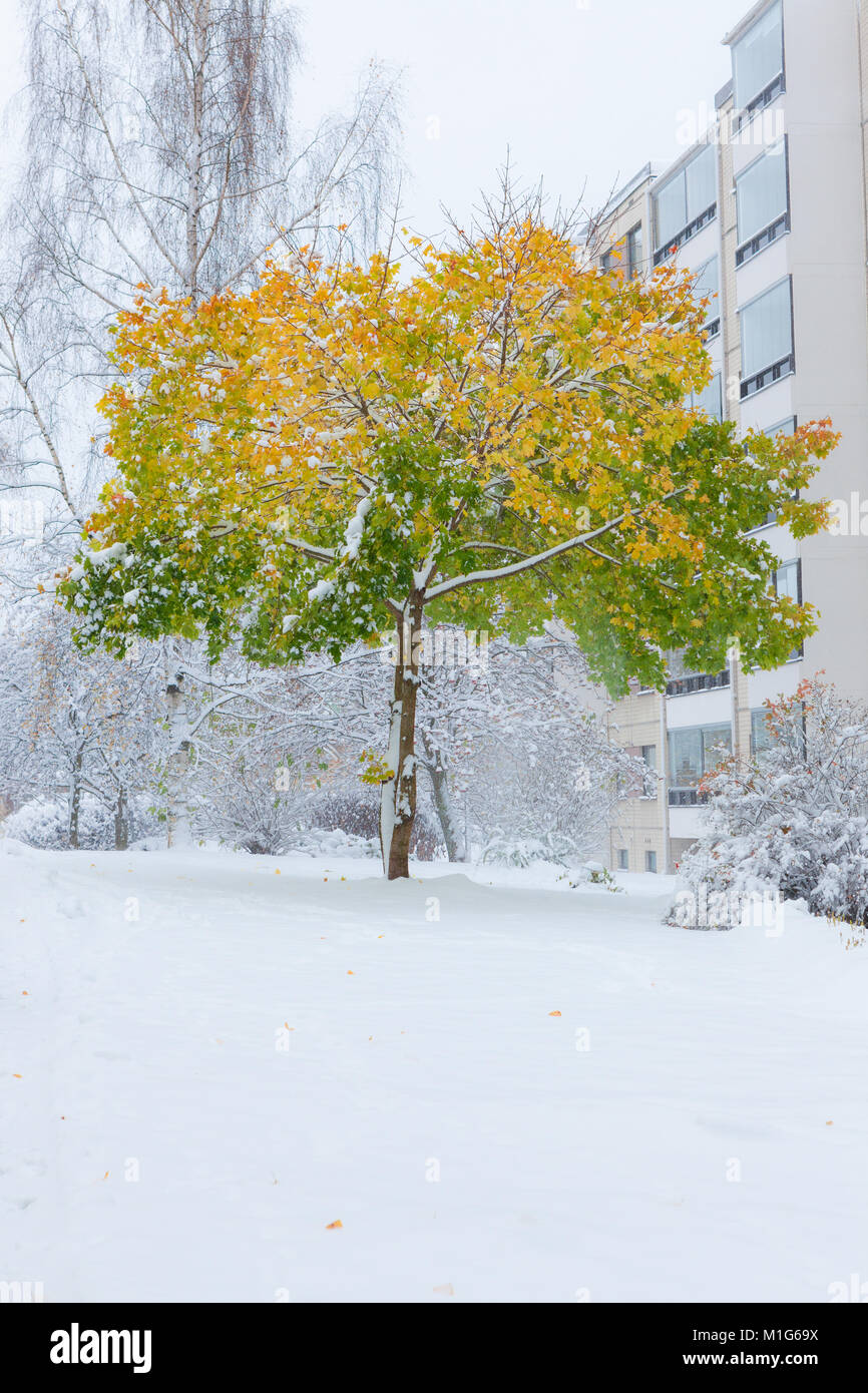 First snowfall city hi-res stock photography and images - Alamy