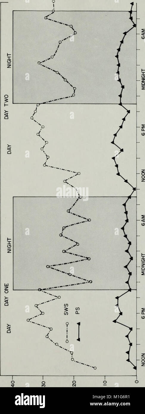 Analysis of sleep cycles in the rodent (1967) (17546802654 Stock Photo ...