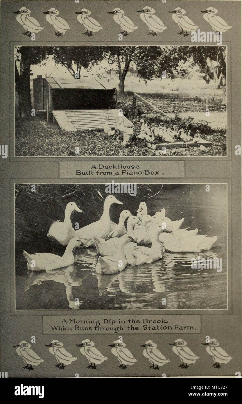 This 1914 report details a visit to the Missouri State Poultry ...