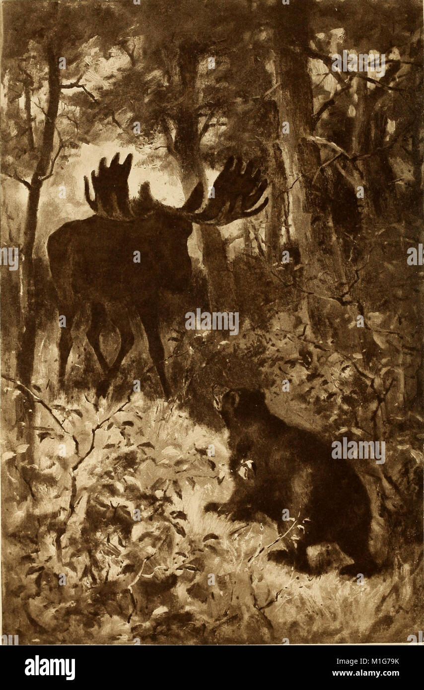 A collection of essays from 1889 discussing American art and the ...