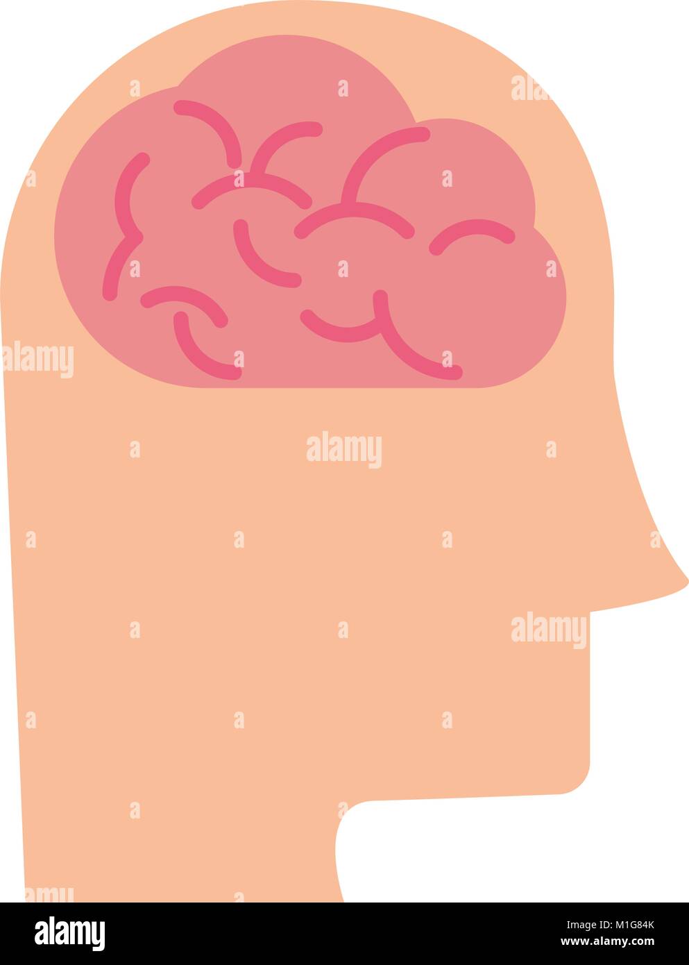 Human brain on head Stock Vector Image & Art - Alamy