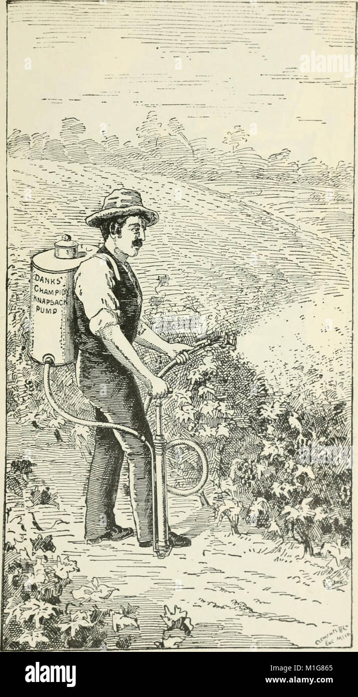 This 1891 handbook covers the destructive insects of Victoria ...