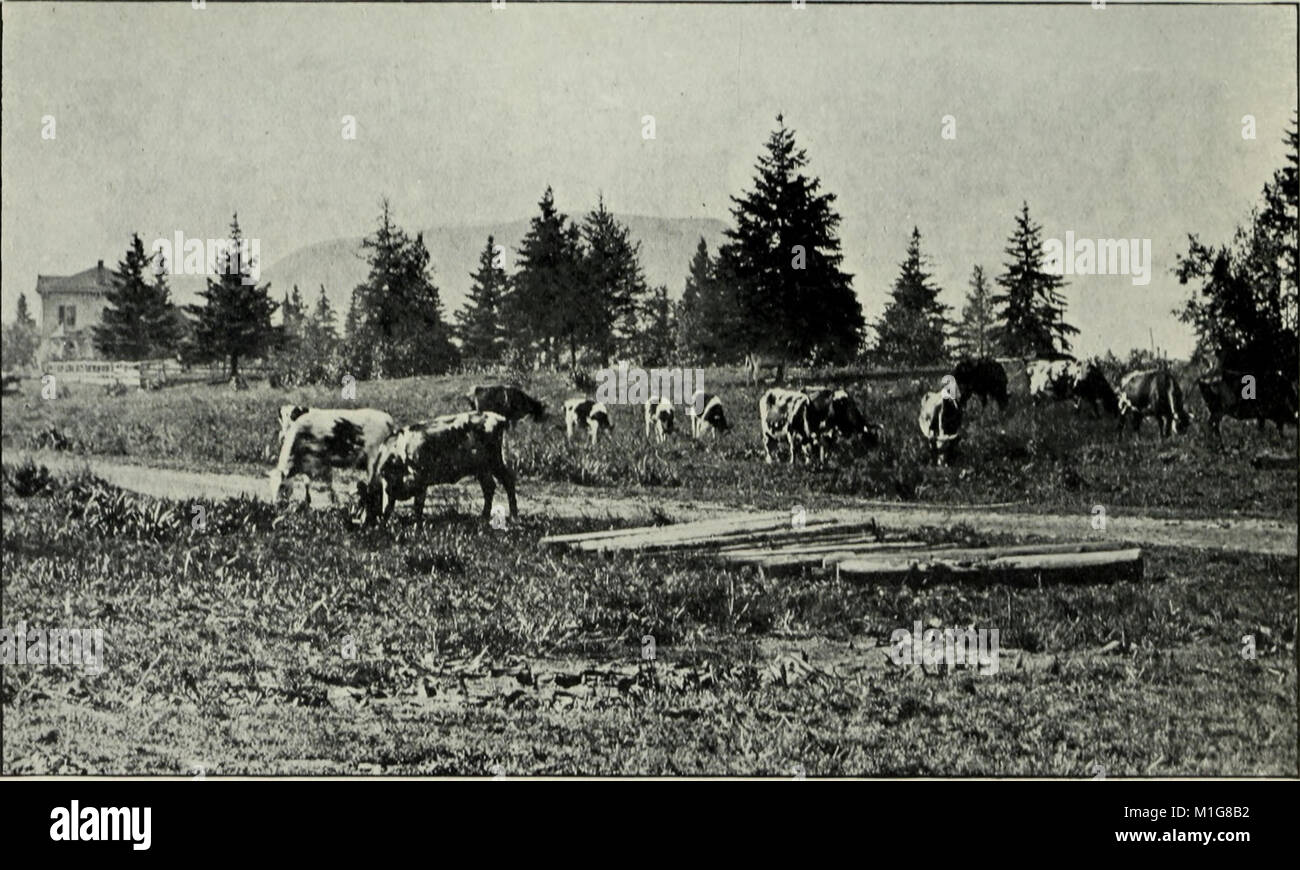 'A Summer on the Canadian Prairie' (1910) is a descriptive account of ...