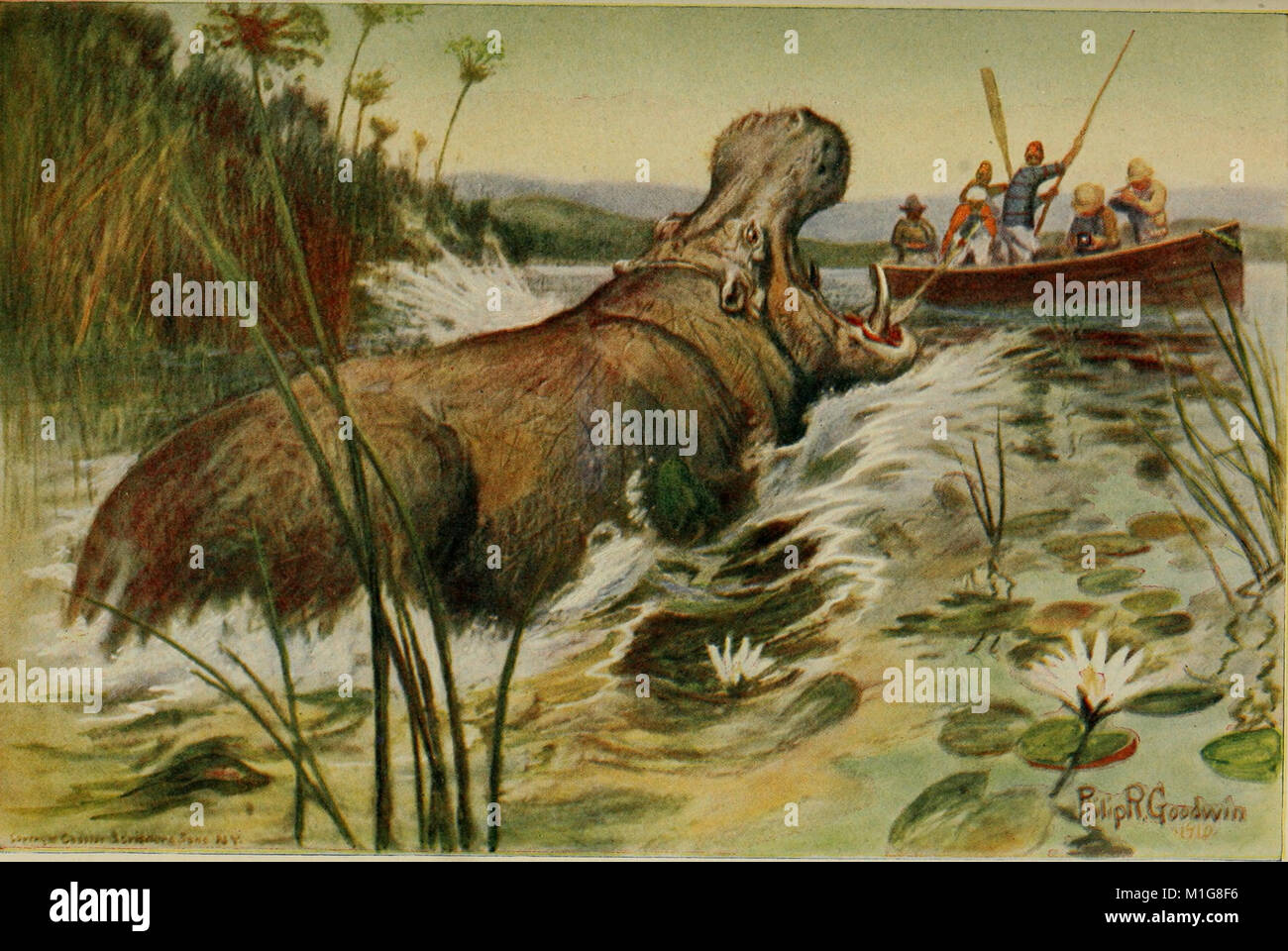 'African Game Trails' (1910) documents Theodore Roosevelt’s safari in ...