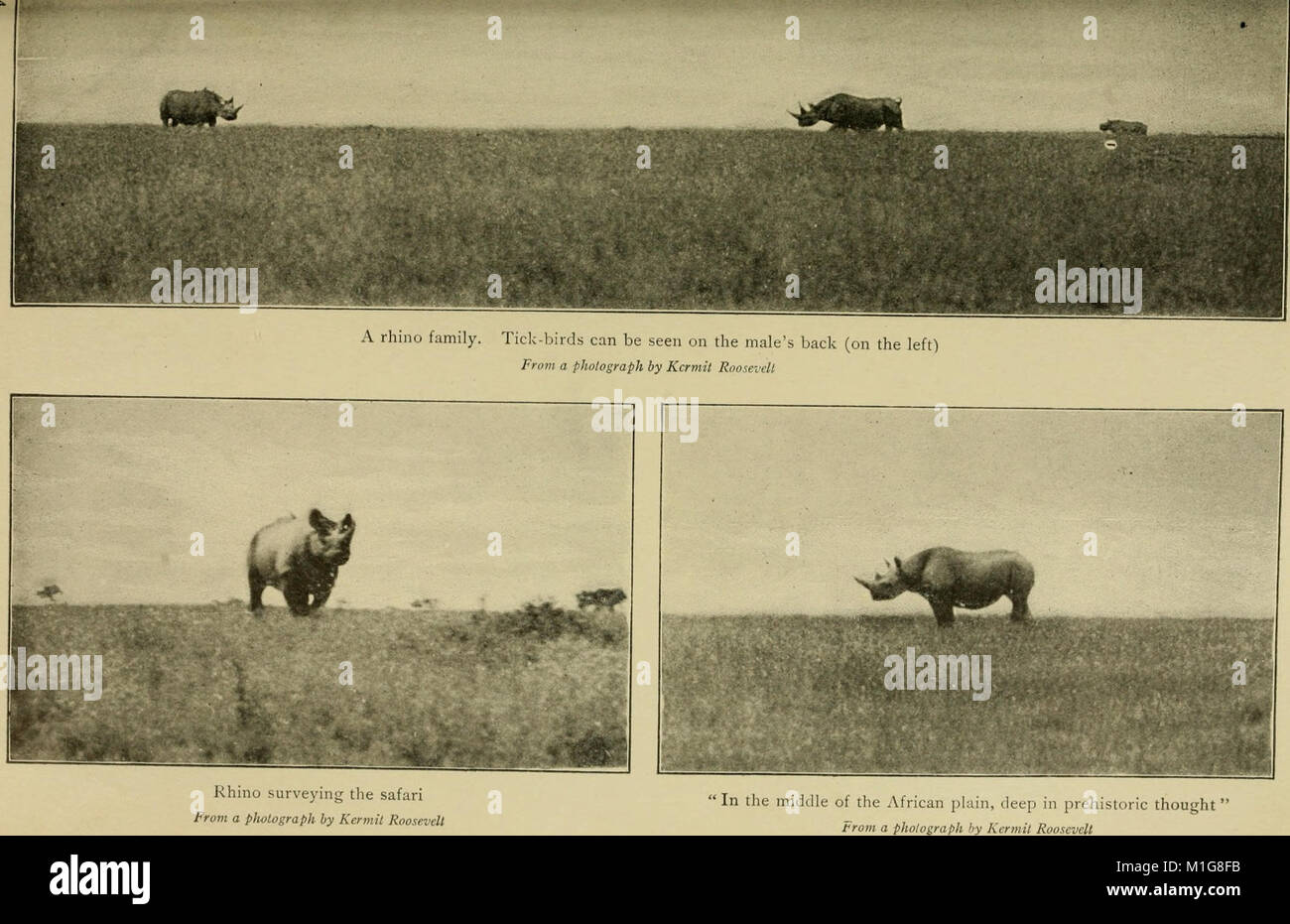 Published in 1910, 'African Game Trails' recounts Theodore Roosevelt's ...