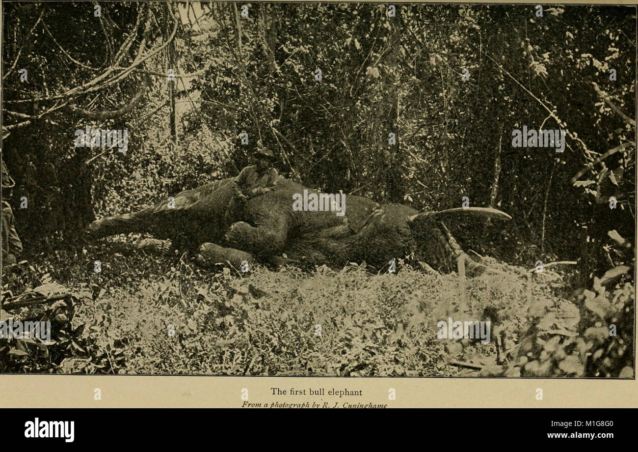'African Game Trails' (1910) is a personal account of Theodore ...