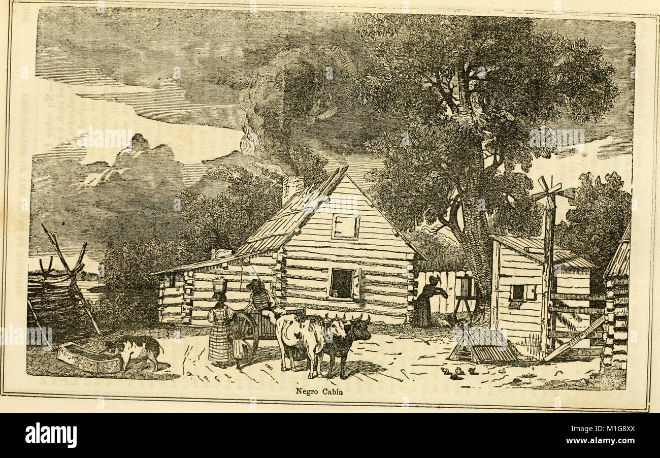 This 1860 work provides a detailed visual and textual representation of ...
