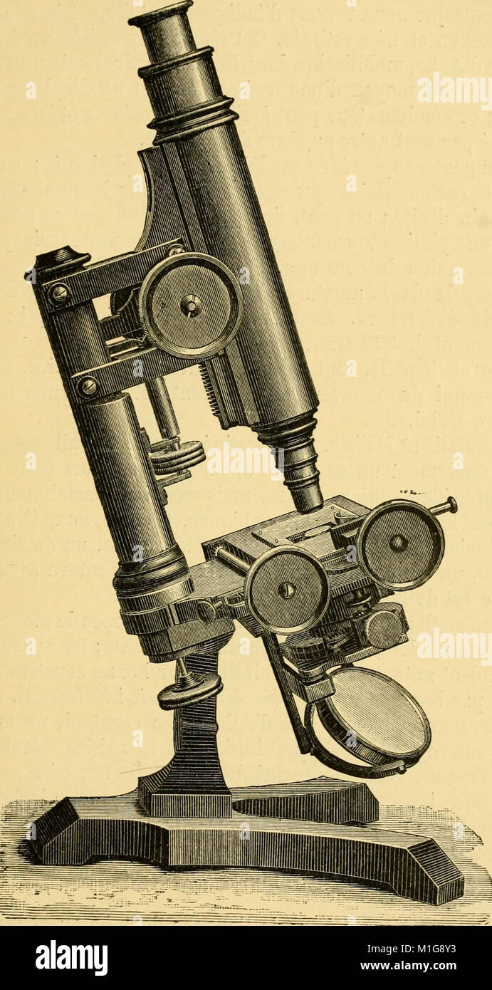 Micrographical hi-res stock photography and images - Alamy