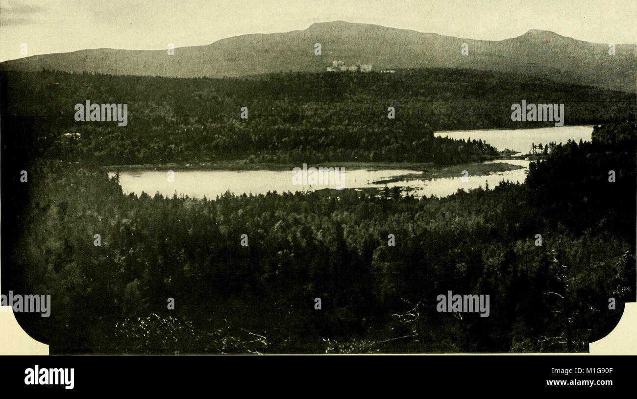 American stallions history hi-res stock photography and images - Alamy