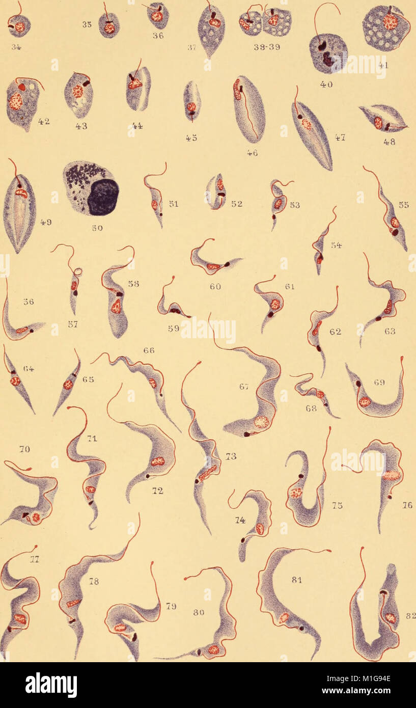 The 1912 *Annales de l'Institut Pasteur* publishes key scientific ...