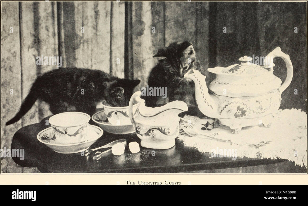 'Alexander and Some Other Cats' (1929) presents a collection of short ...