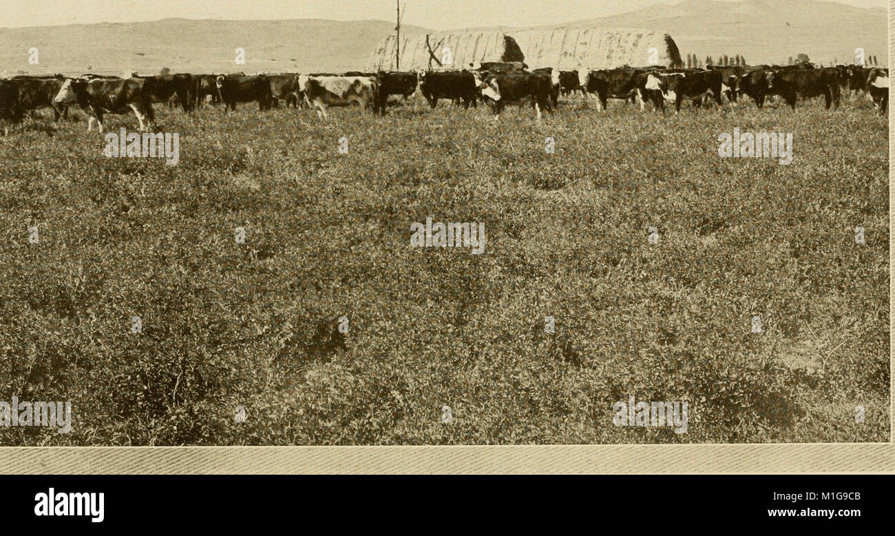 Agricultural Nevada, published in 1911, provides a detailed examination ...