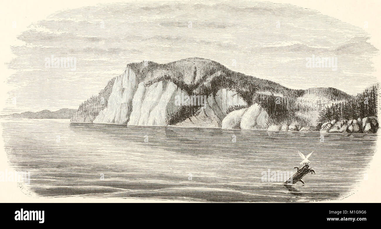 'Alaska and Its Resources,' published in 1870, is a comprehensive ...