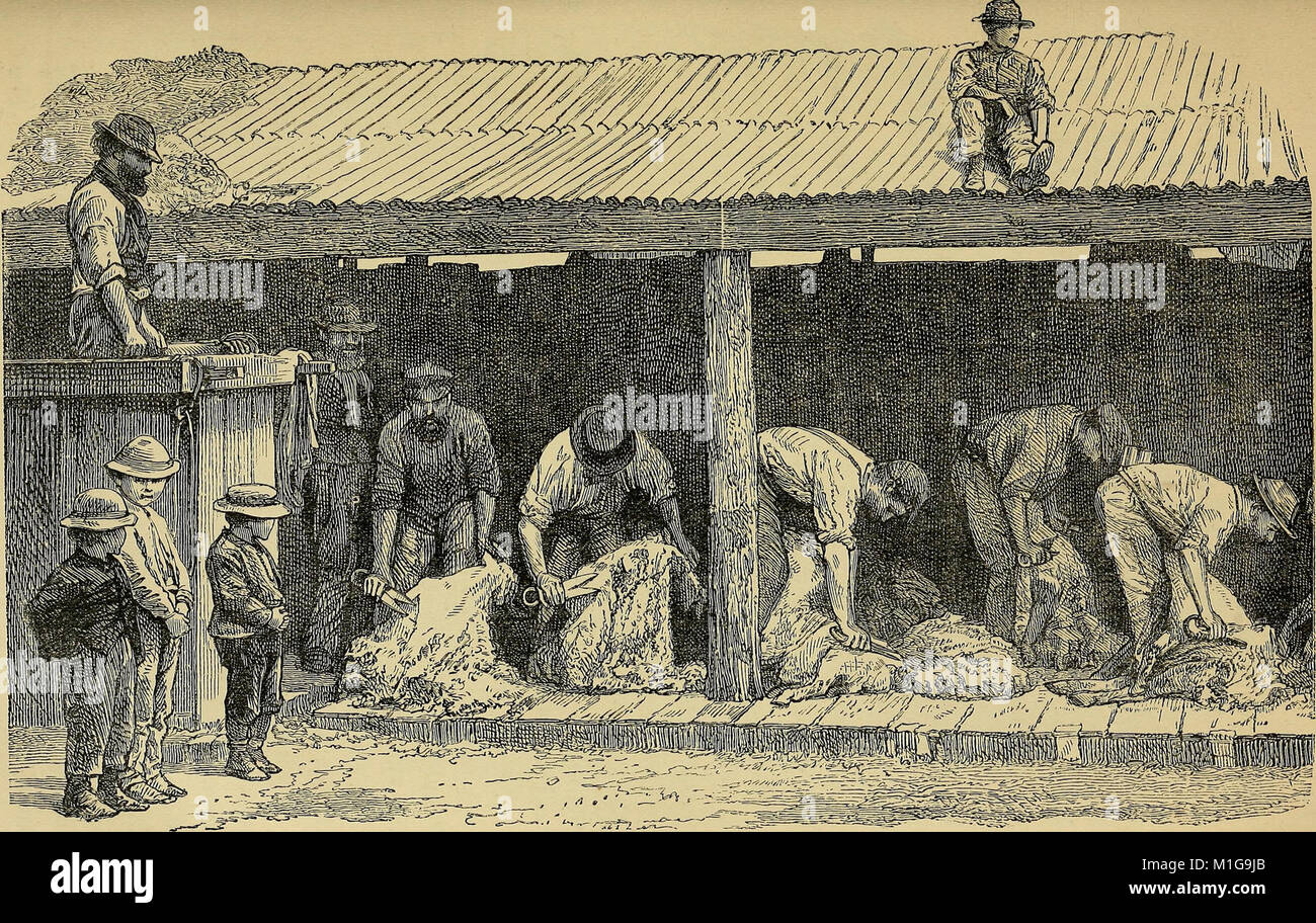 'Animal Products' (1877) is a reference work detailing the various uses ...