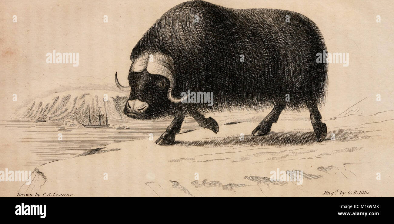 'American Natural History: Mastology' (1828) is a pioneering work in ...