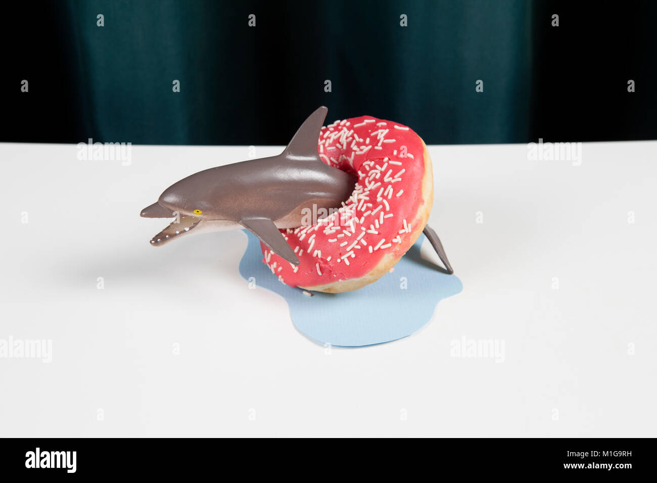 a dolphin plastic toy inside a donut symbolizing a buoy on a puddle ...
