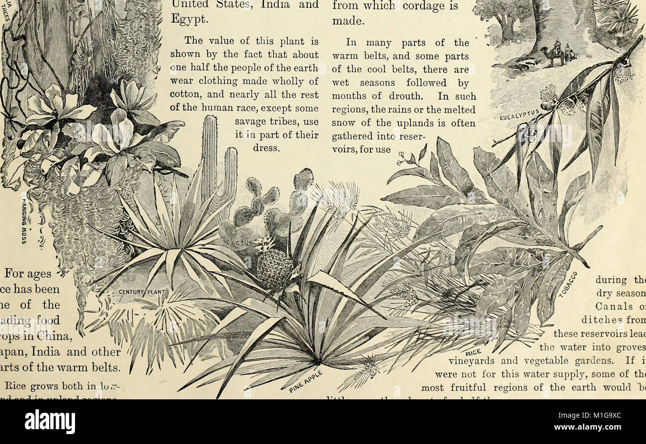 'Advanced Geography' (1899) offers an in-depth exploration of ...