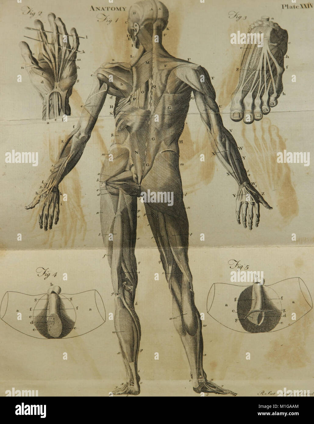 The compendious book hi-res stock photography and images - Alamy