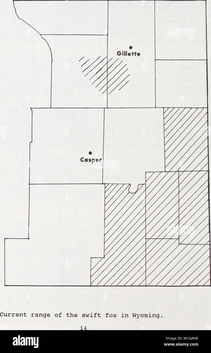 An ecological and taxonomic review of the swift fox (Vulpes velox) with ...