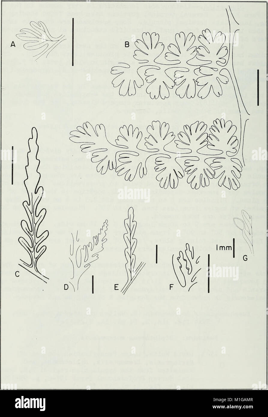 A 1977 study on early Pennsylvanian flora from west-central Illinois ...