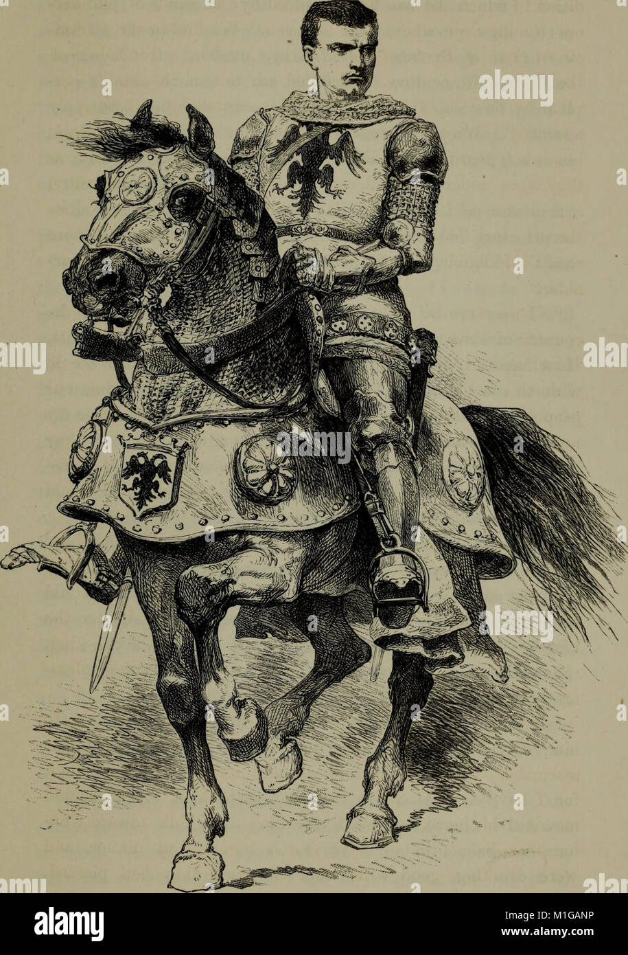 A Popular History of France, published in 1870, presents a ...
