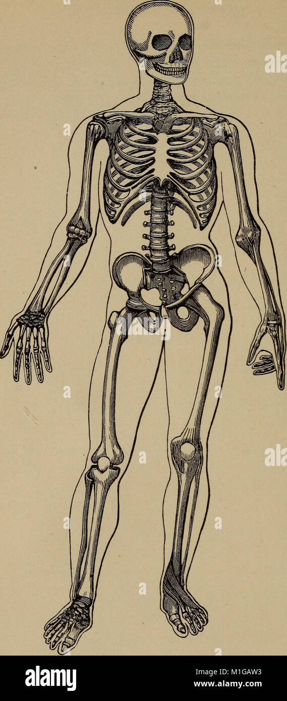 This 1903 academic text covers the principles of physiology and hygiene ...