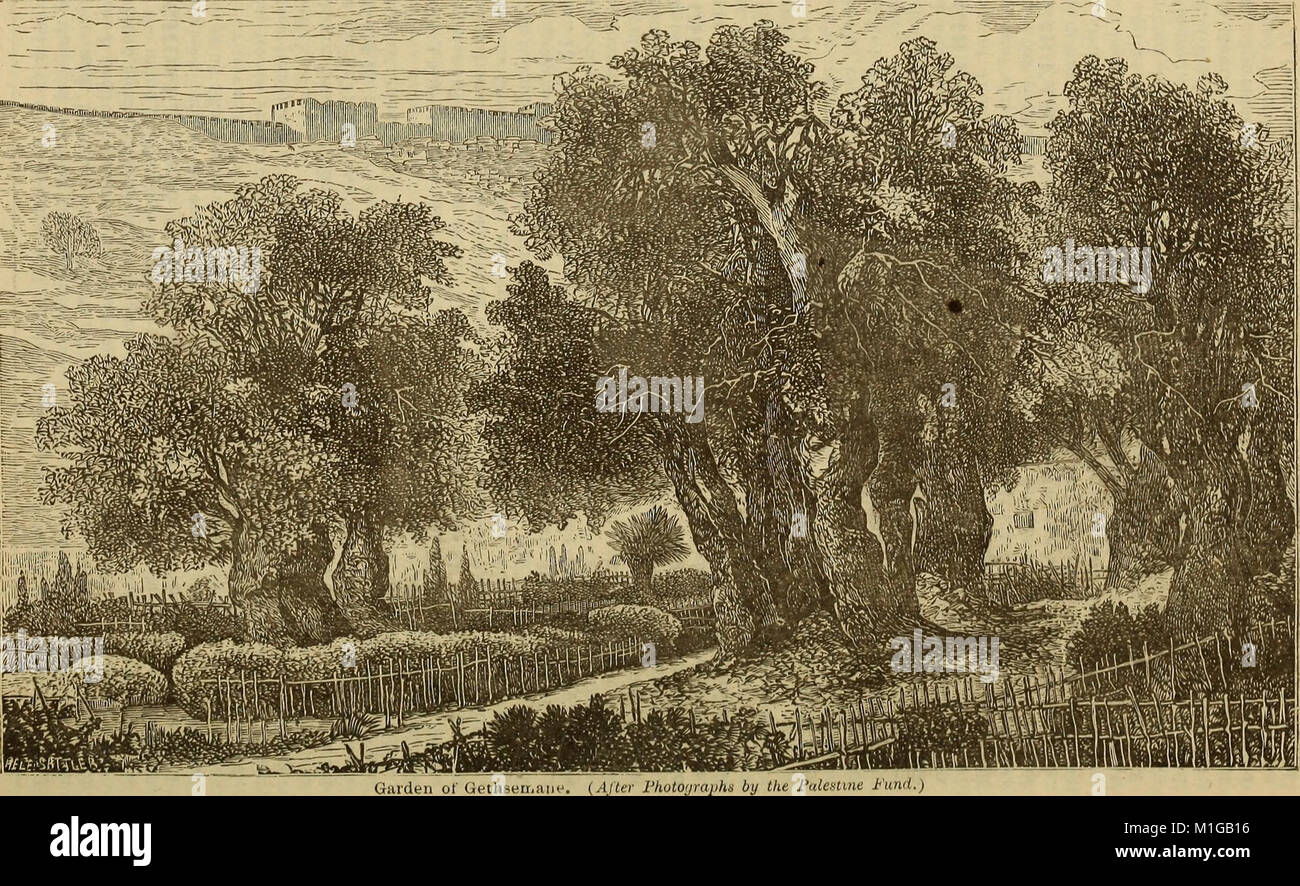 A Dictionary of the Bible (1887) offers comprehensive definitions and ...