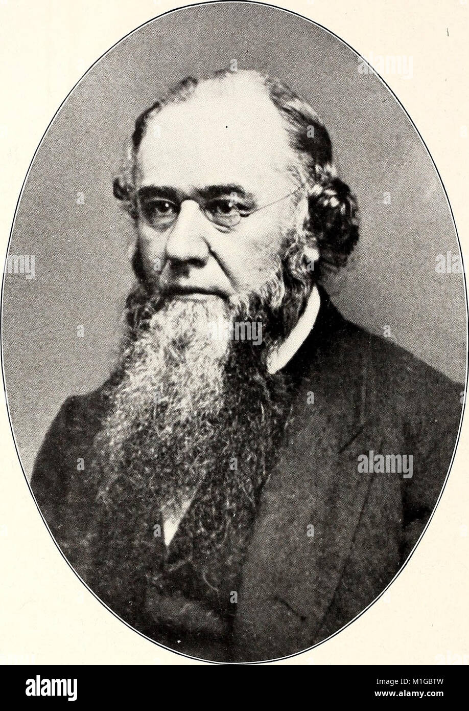 Abraham Lincoln's cabinet (1863) (14779276184 Stock Photo - Alamy